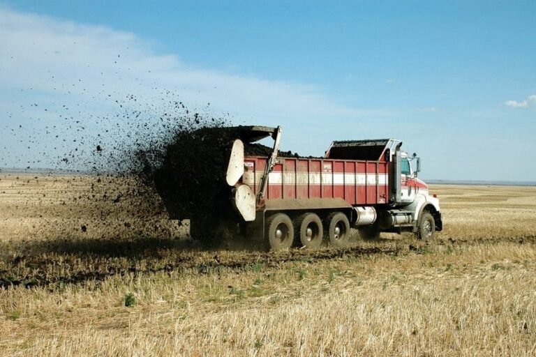 Animal Waste: A Double-Edged Sword in African Agriculture - L ...